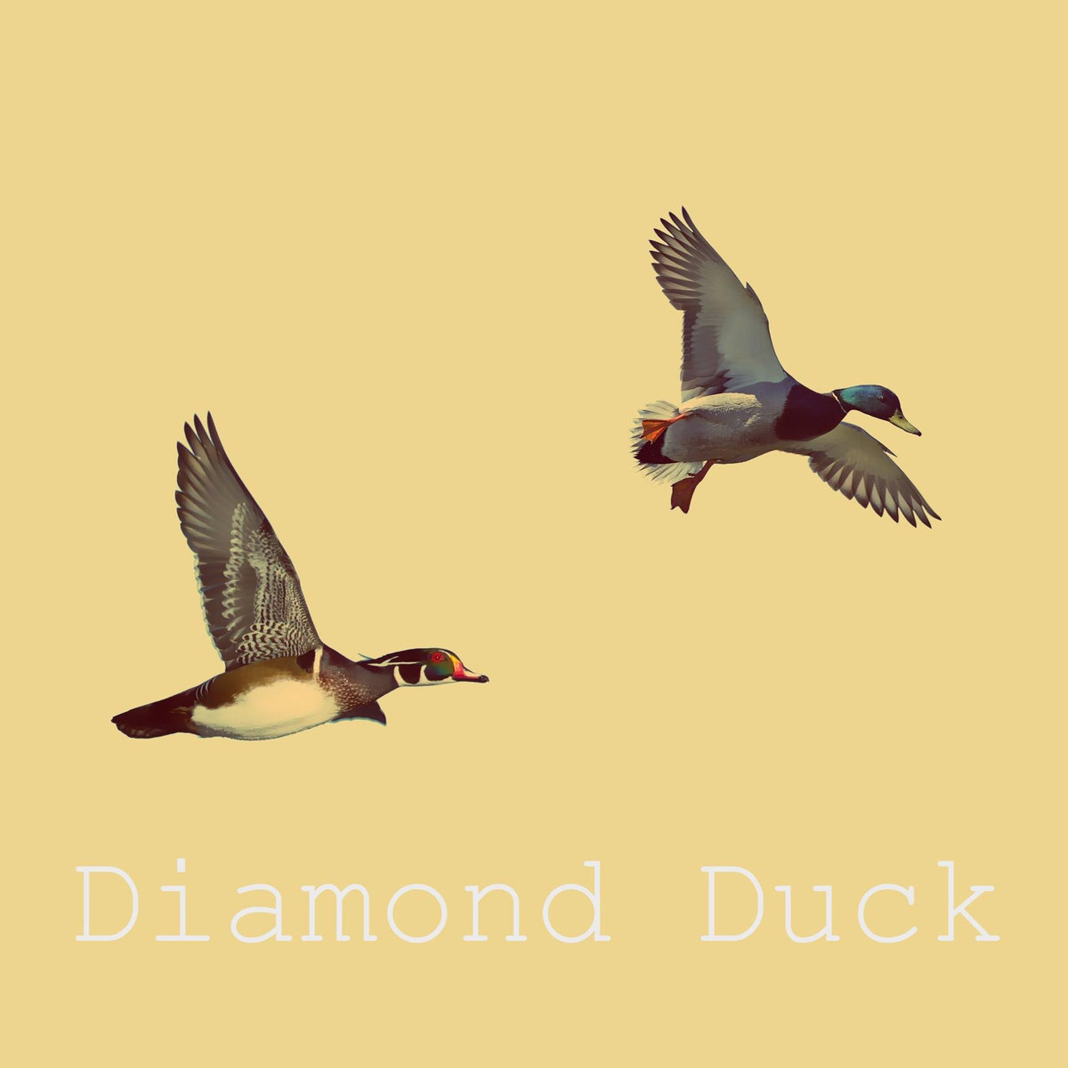 PTW PREMIERE: Diamond Duck EP | POST TO WIRE